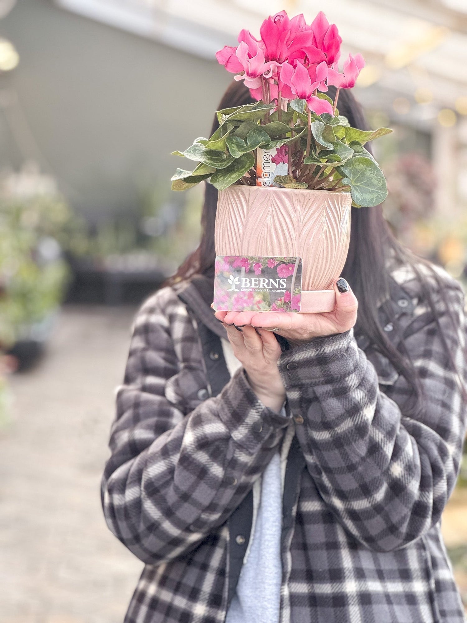 Beautiful Houseplants for Valentine’s Day & Why They Make Heartfelt Gi ...