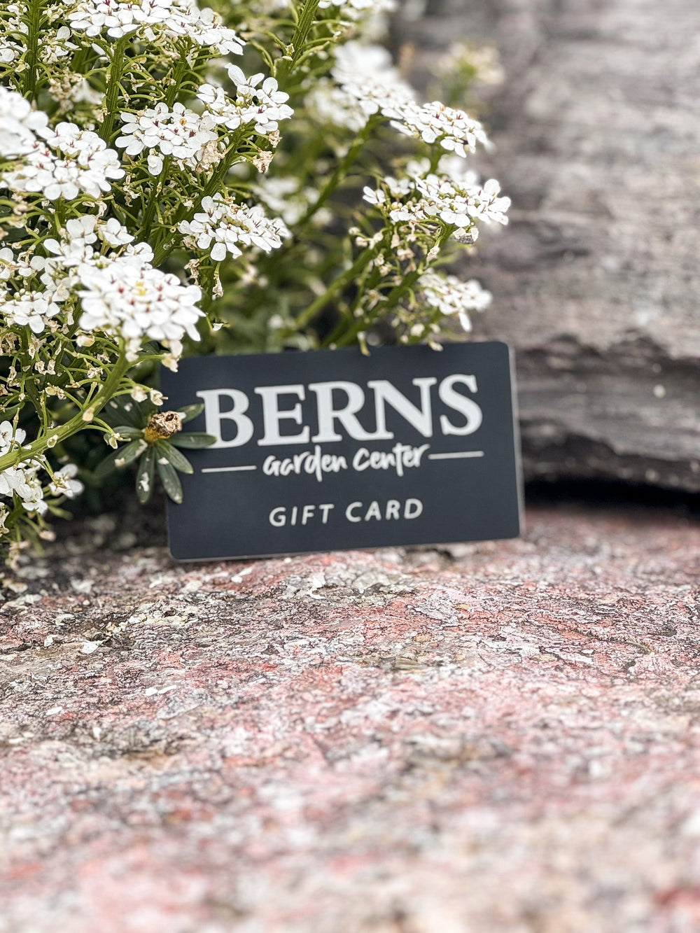 Middletown Berns Garden Center | Locally Grown Plants, Landscaping ...