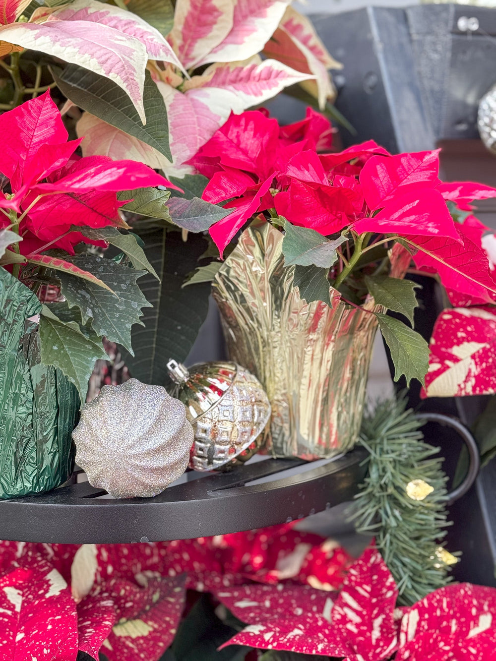 Middletown Berns Garden Center | Locally Grown Plants, Landscaping ...