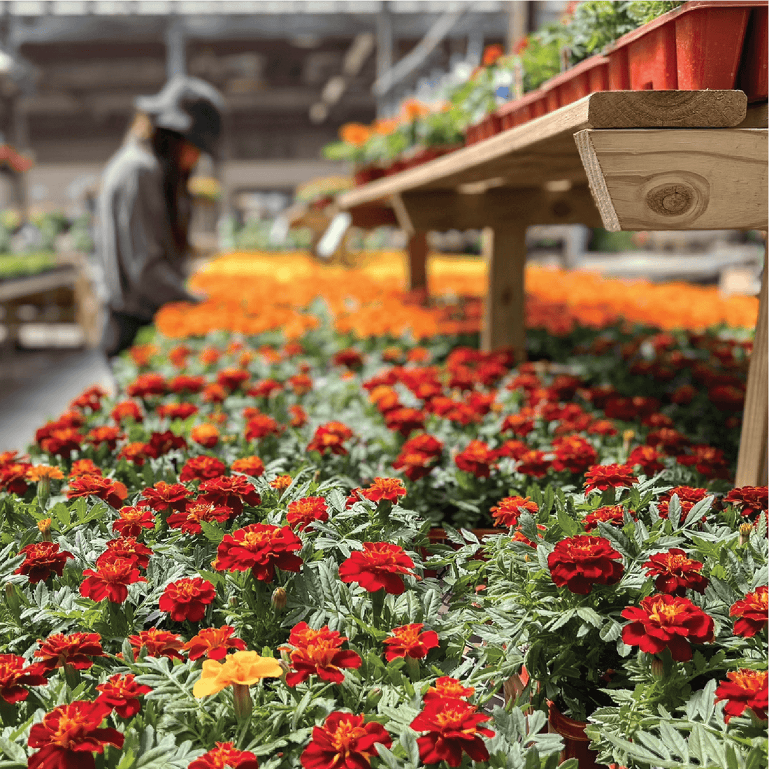 Berns Garden Center