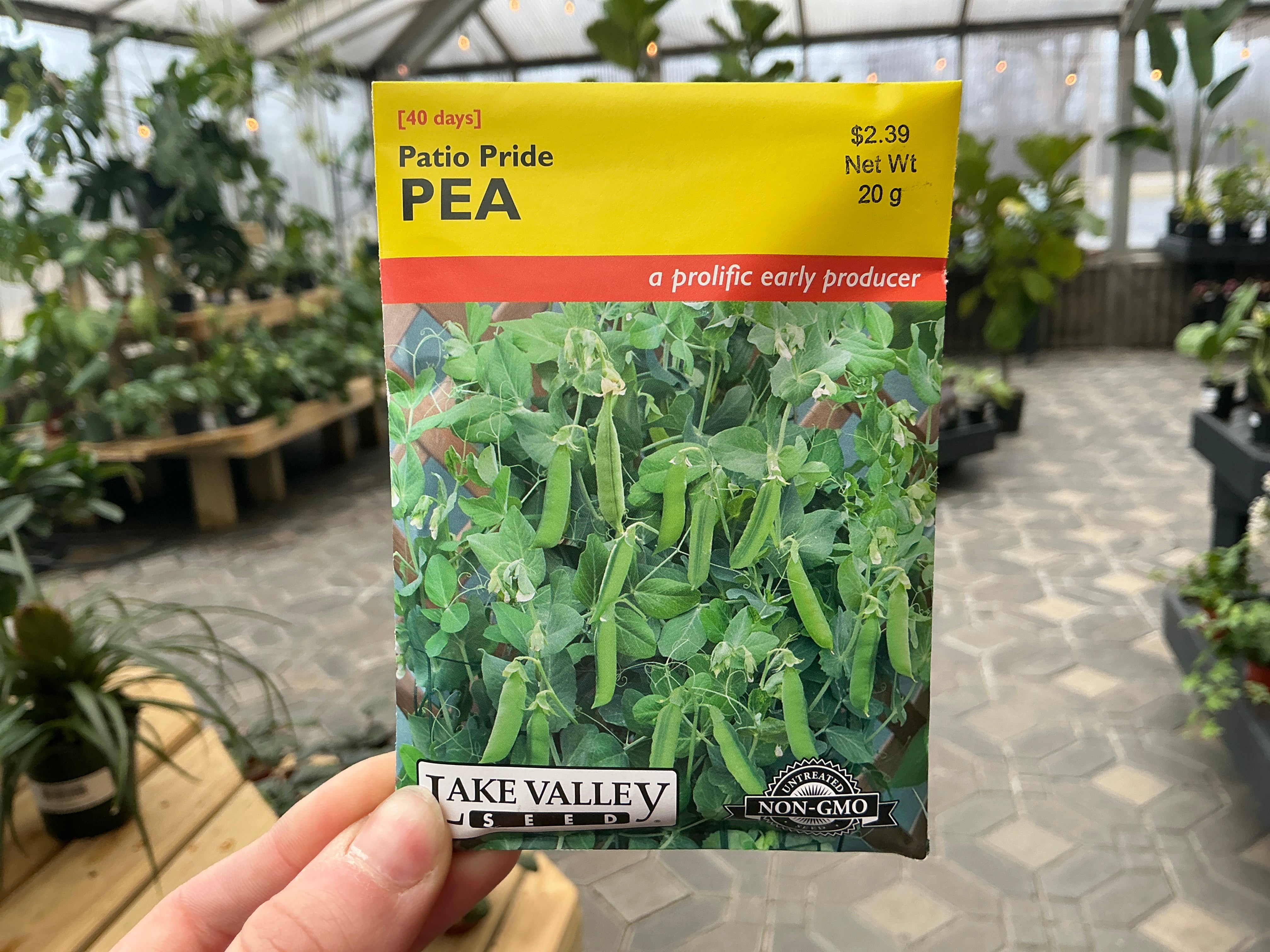 Pisum | Pea Seed - Berns Garden Center