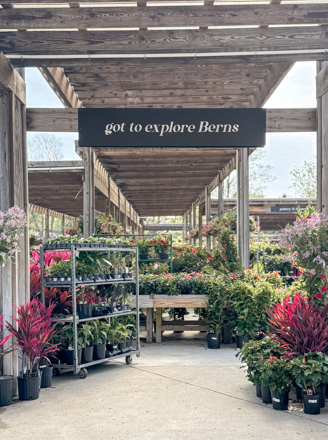 Beavercreek Berns Garden Center | Locally Grown Plants & Expert ...
