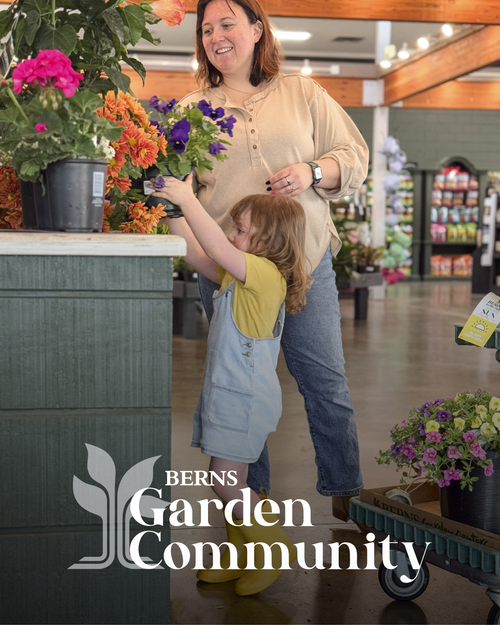 Weekly Plant Specials | Berns Garden Center - Berns Garden Center