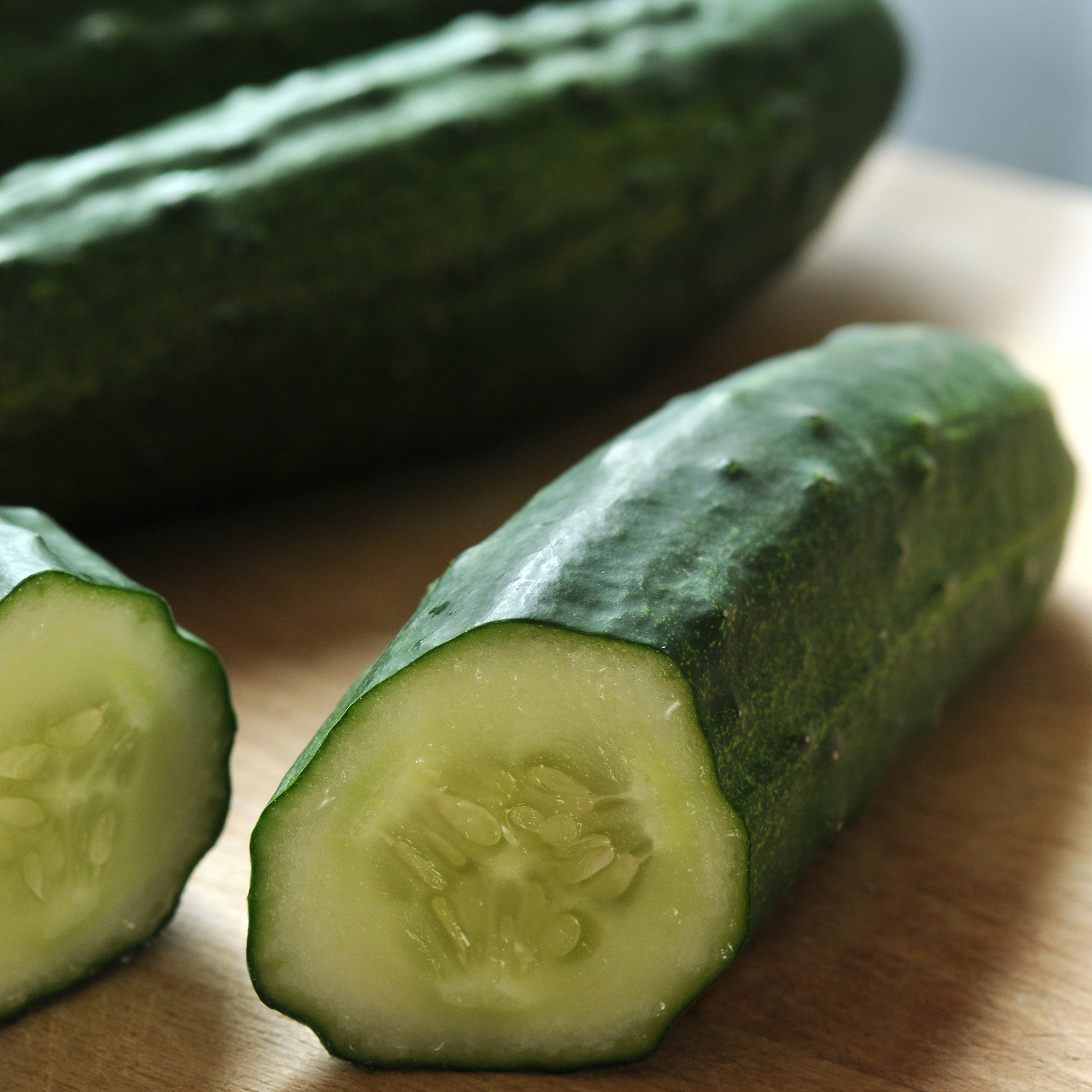 Cucumber | Patio Snacker - 4 Pack - Berns Garden Center