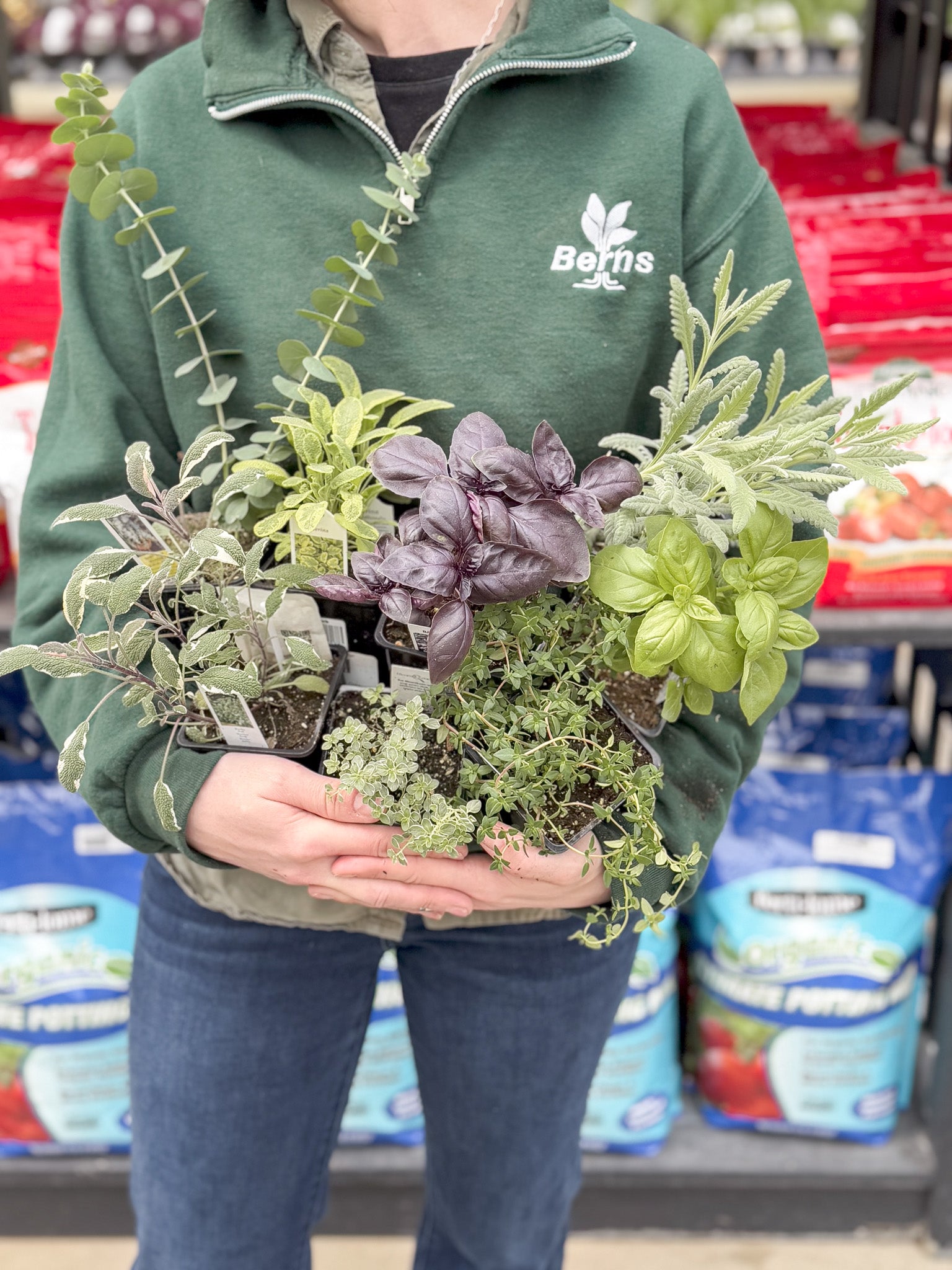 Weekly Plant Specials | Berns Garden Center - Berns Garden Center