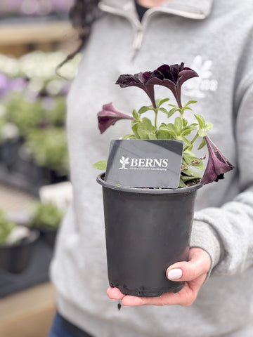Berns Garden Center