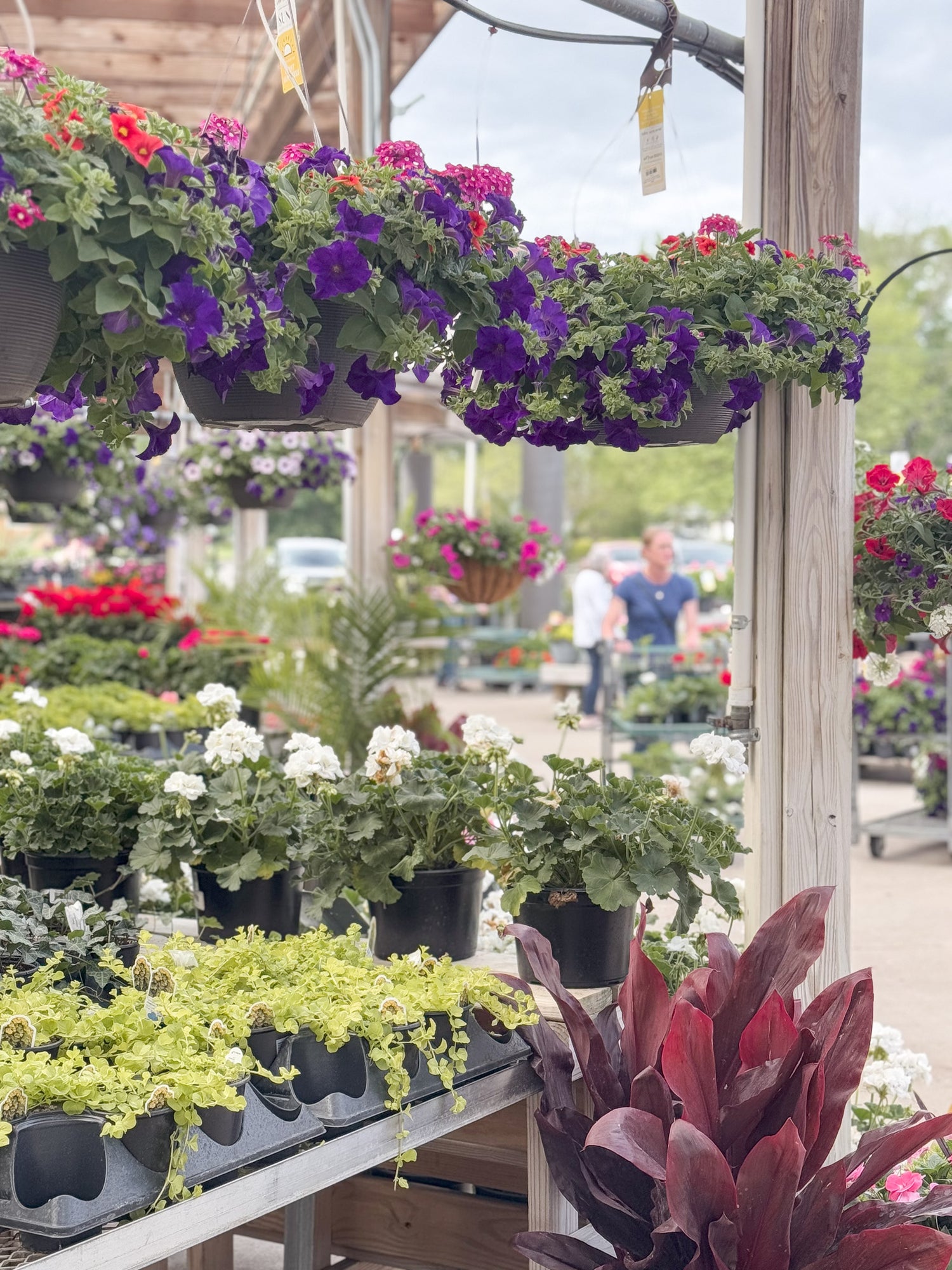 Beavercreek Berns Garden Center | Locally Grown Plants & Expert ...
