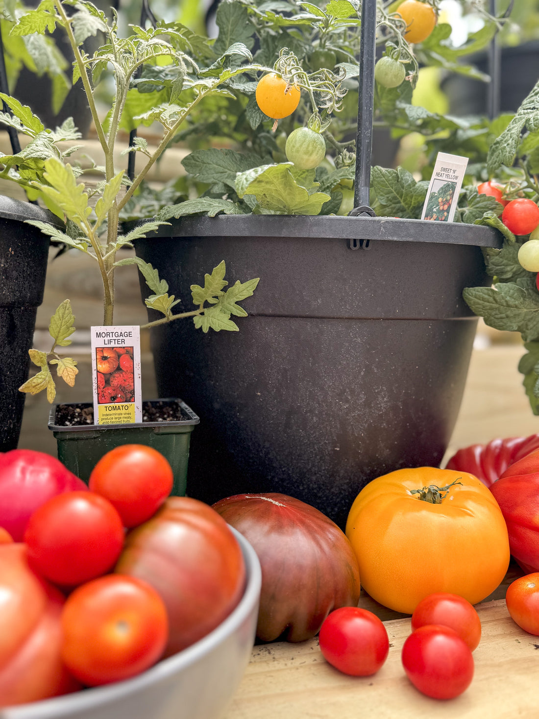 Berns Garden Center and Landscaping | Locally Grown