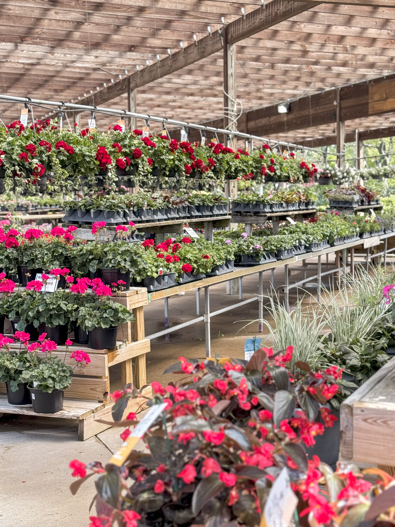 Beavercreek Berns Garden Center | Locally Grown Plants & Expert ...