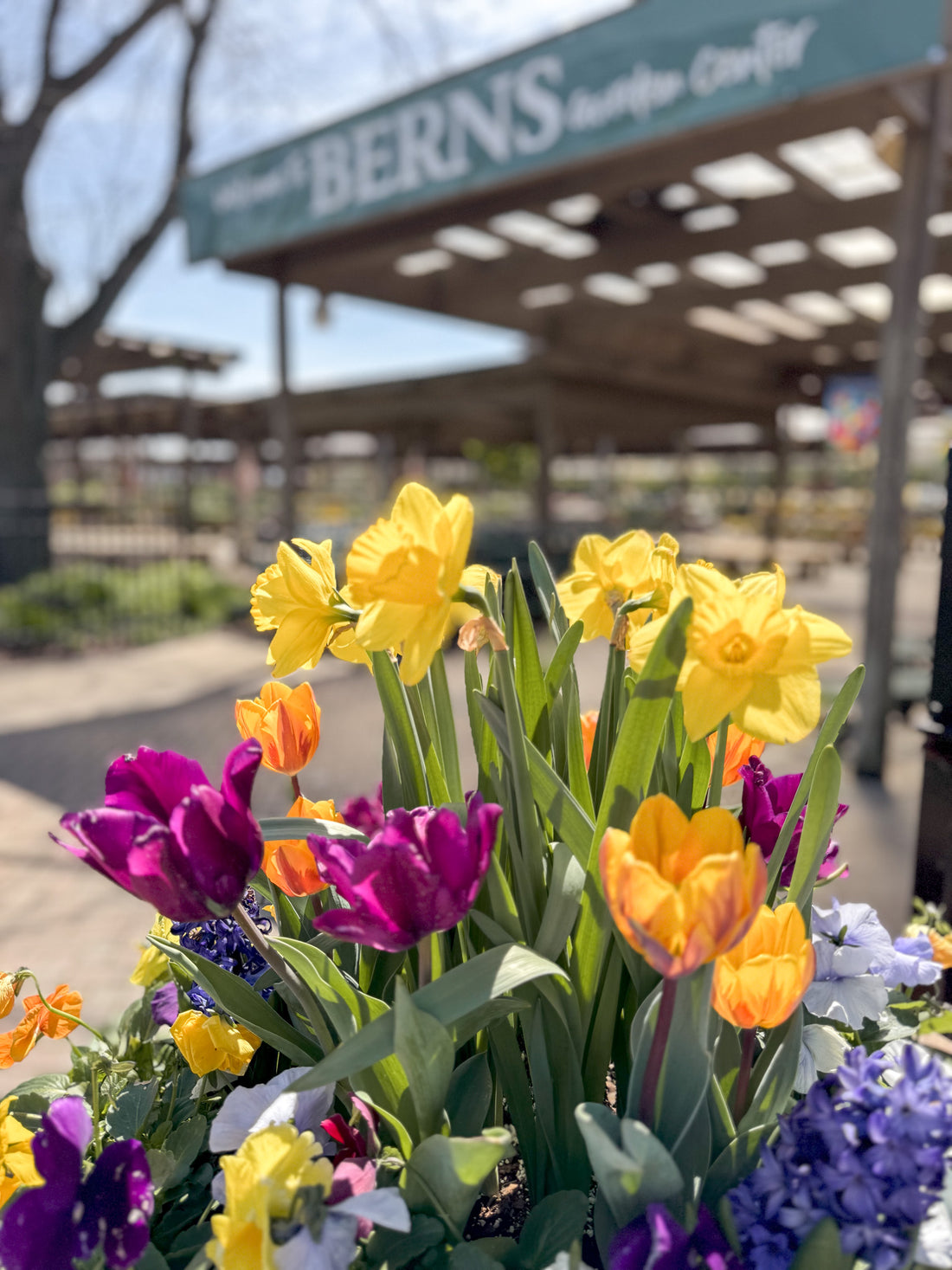 Middletown Berns Garden Center | Locally Grown Plants, Landscaping ...