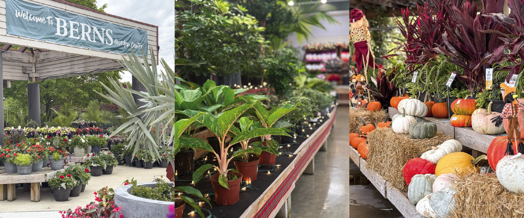 Beavercreek Berns Garden Center | Locally Grown Plants & Expert ...