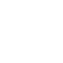 Rosa | Berns Rose | Floribunda - 3 Gallon - Berns Garden Center